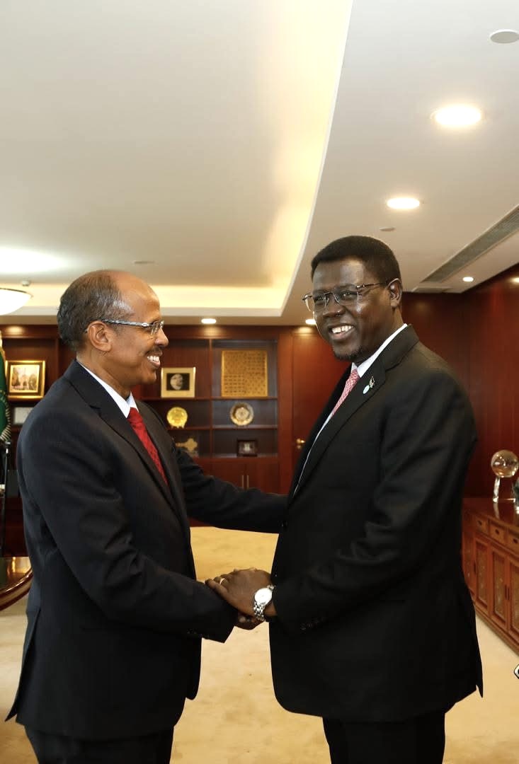 African Union: Chairperson Welcomes UN General Assembly Resolution on ...