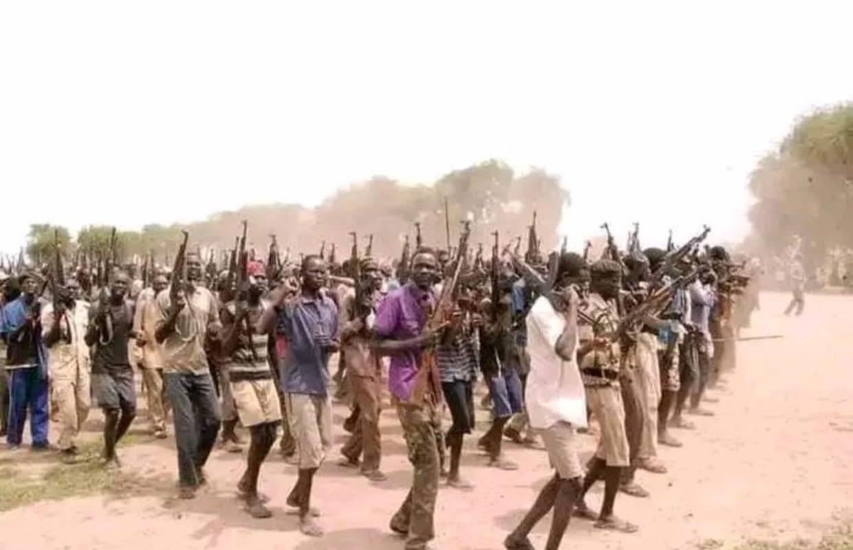 The Nuer Tribe on the 2025 War Initiative by Youth on Social Media: A Critical Analysis - SSG